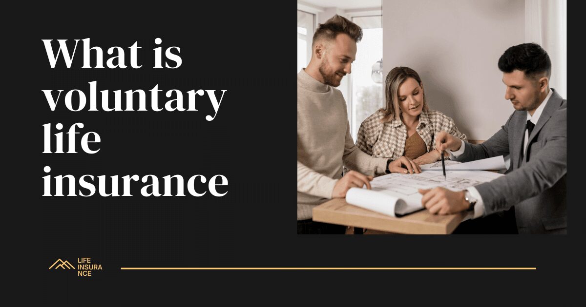 What Is Voluntary Life Insurance - OYe Ji
